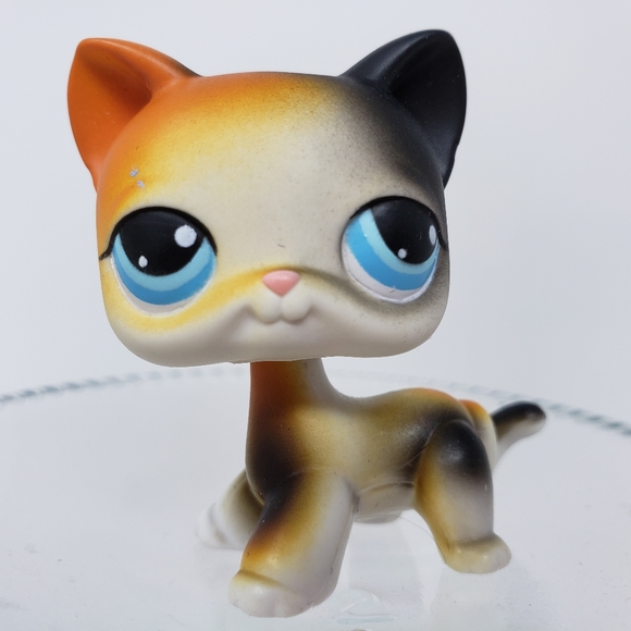 Hasbro | Toys | Littlest Pet Shop Kitten Kitty Cat | Poshmark